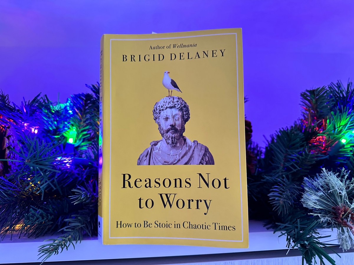 Stoic and Didn’t Know It: Reasons Not to Worry by Brigid Delaney ...