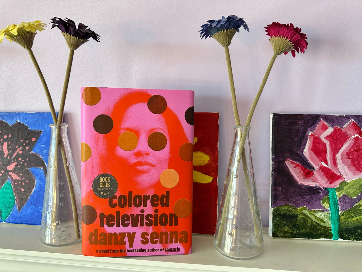 So You Wanna Be a Writer: Colored Television by Danzy Senna – LitzyDitz